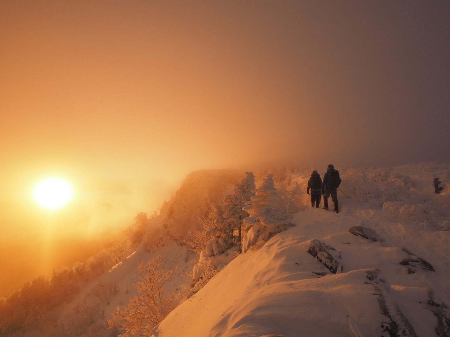 Nature Guide LIS – 【初心者も安心】疲れにくい歩きを学んで山を楽しむ 少人数制 登山ガイド